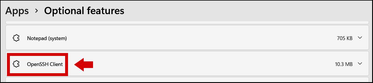 Comment activer le client SSH sur Windows 11 ? - IONOS