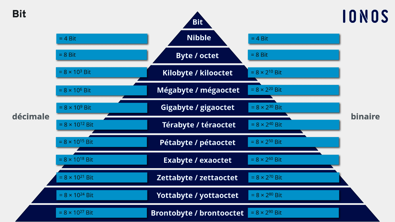 Qu’est-ce qu’un bit ? Bits et Bytes en bref - IONOS
